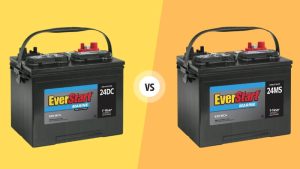 Everstart 24ms vs 24dc - Comparison TABLE